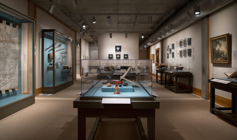 Animal, Vegetable, Mineral: William Hunter’s Interconnected Worlds – by ...