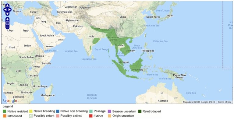 Taxonomy of Empire: The Compendium of Birds as an Epistemic and ...