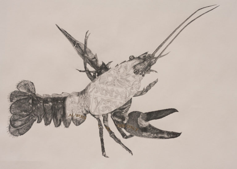 Artist’s Notes: Drawing on 18th-Century Natural History – by Chris ...